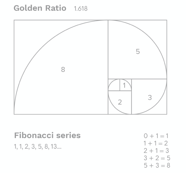 What is The Golden Ratio? | Vectornator Blog